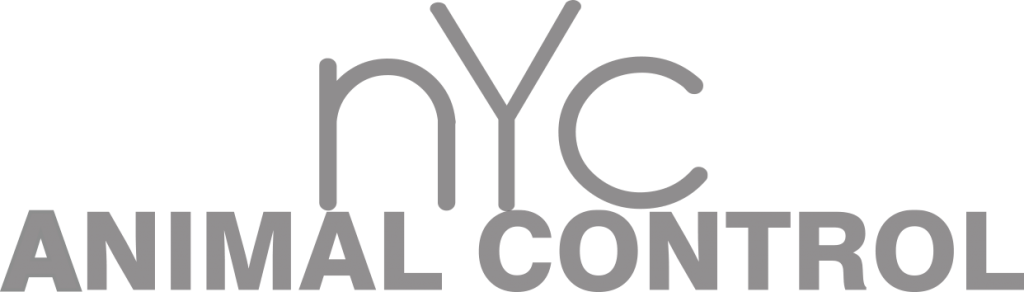 Contact Us – Animal Control in NYC & New Jersey