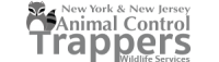 24/7 Animal Control NYC & NJ | Humane Wildlife Removal