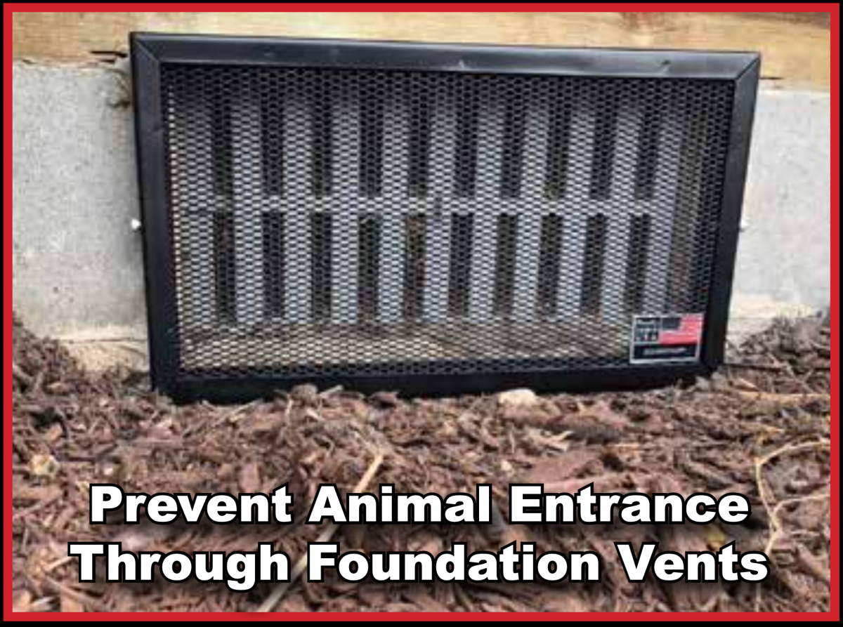 Ridge-Vented Roof Protection – From Our NY and NJ Animal Trappers ...