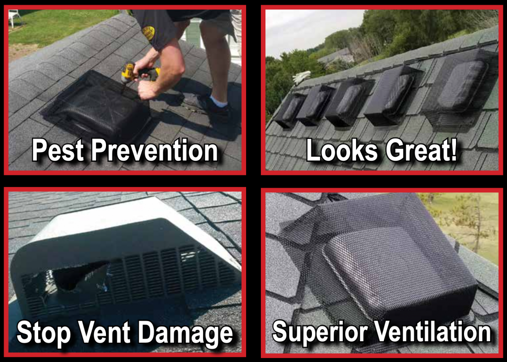 Ridge-Vented Roof Protection – From Our NY and NJ Animal Trappers ...