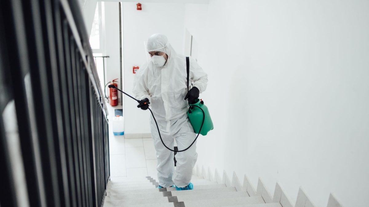 Animal Control NYC Disinfection Services: Safeguarding Your Space After ...